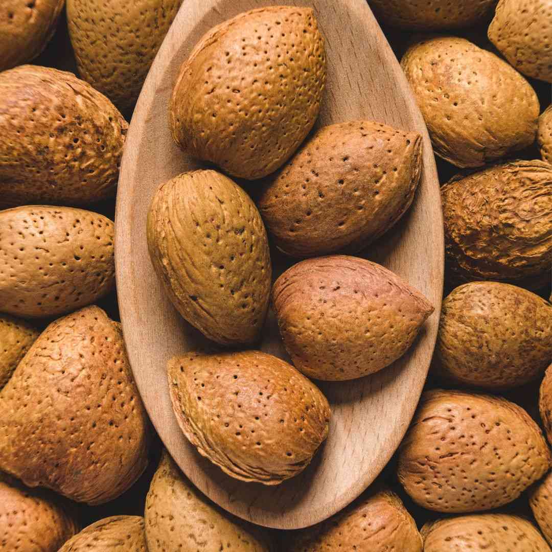 Noci Pecan: proprietà e curiosità - Makadamia