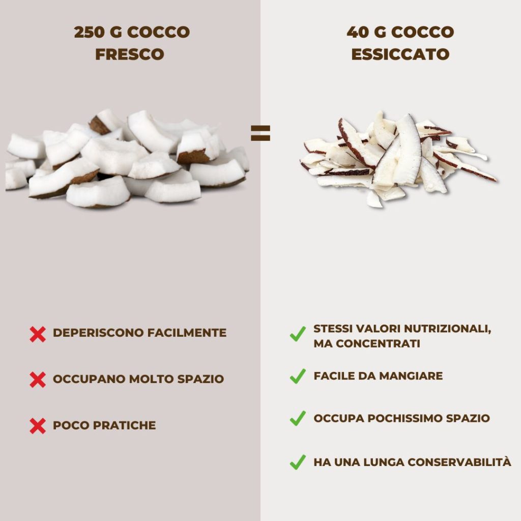Cocco: proprietà e curiosità